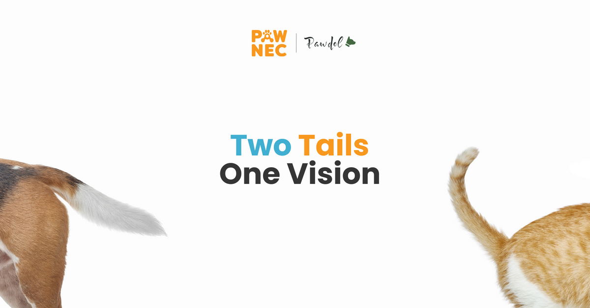 Two Tails, One Vision: Pawdel & Pawnec Merge as a Pet Tech Startup ...